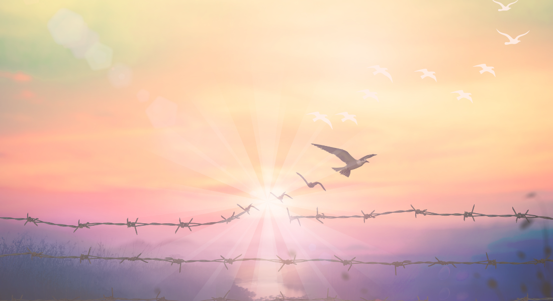 Unlocking Your Inner Wild: The True Quest for Freedom – Sarah Belle