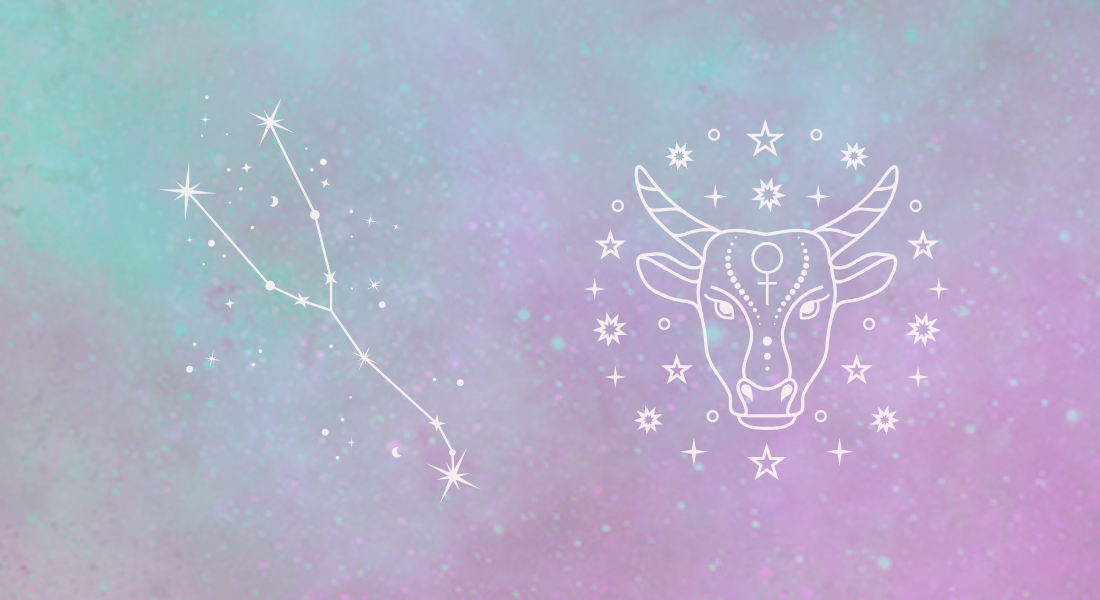 Taurus – Sarah Belle