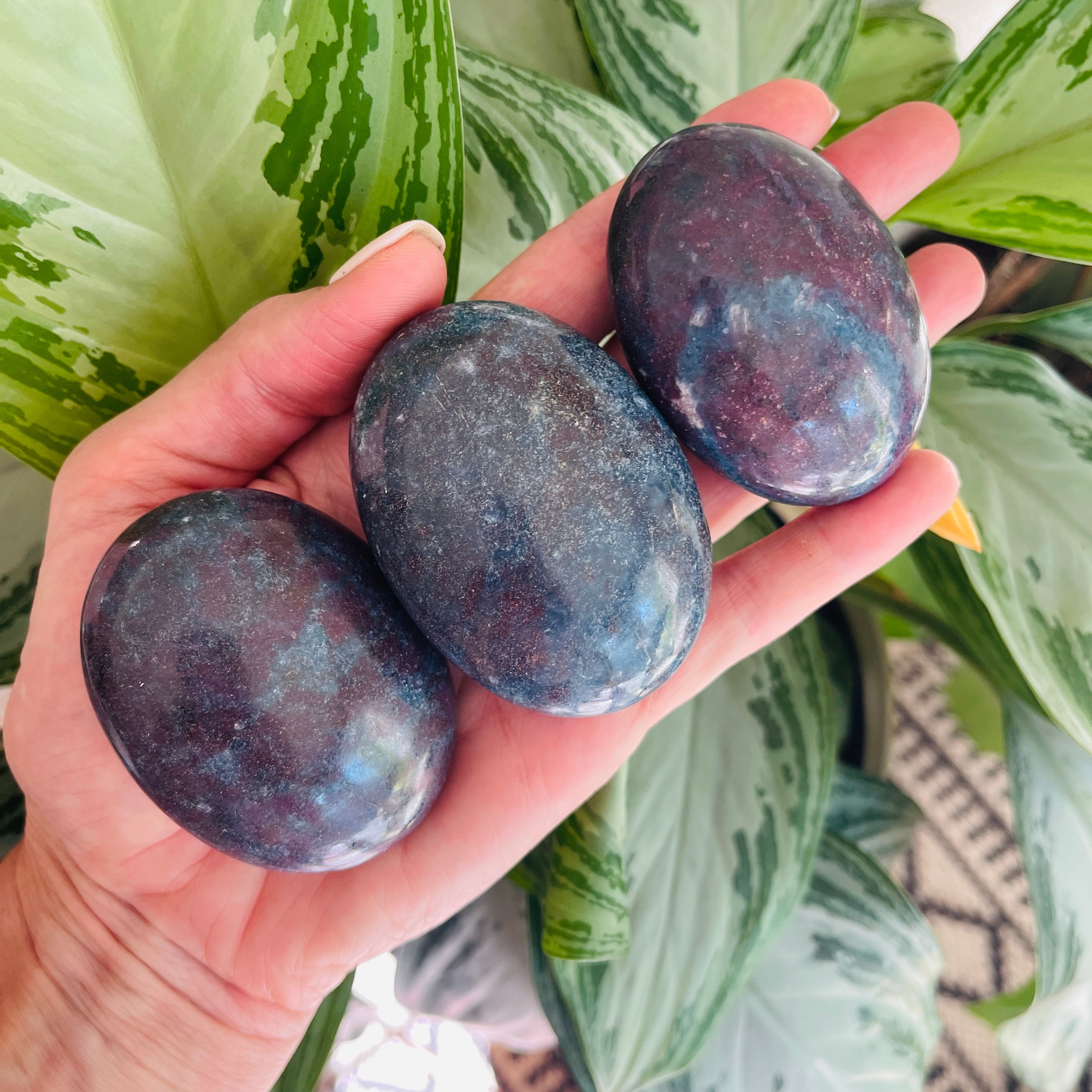 Sarah Belle Ruby Kyanite Palm Stone