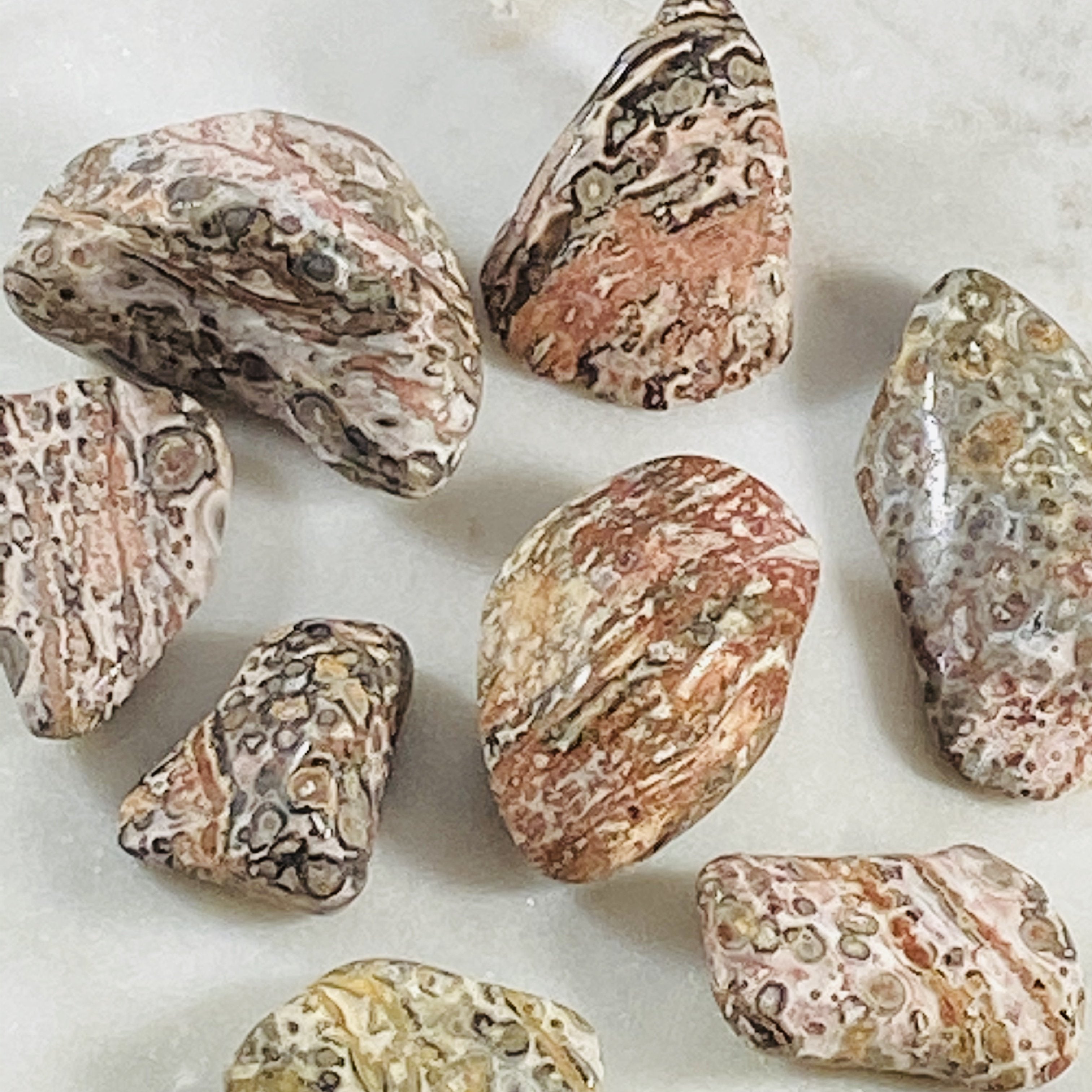 Sarah Belle Leopardskin Jasper Tumbled Stones