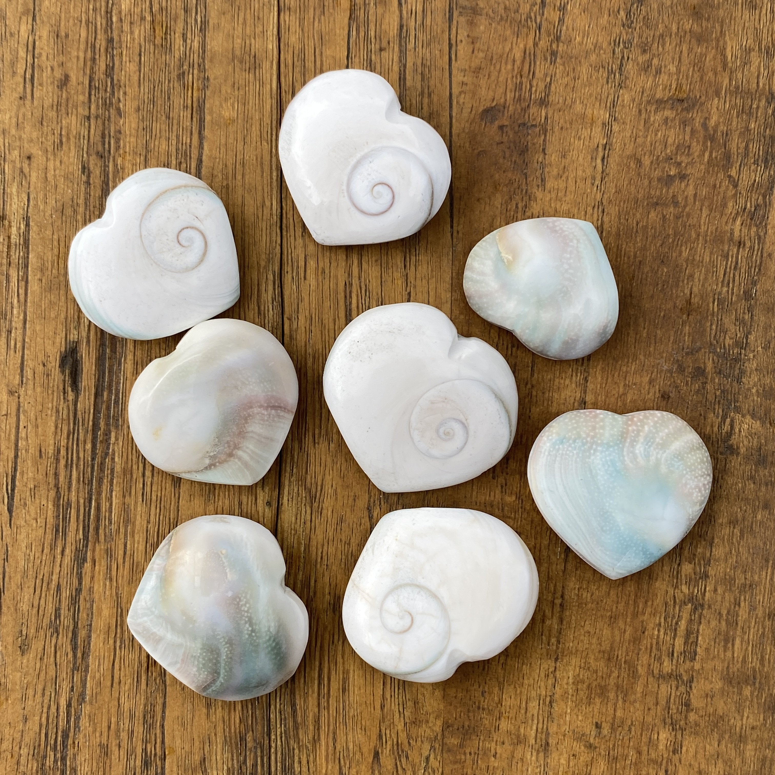 Shiva Shell Heart Sarah Belle